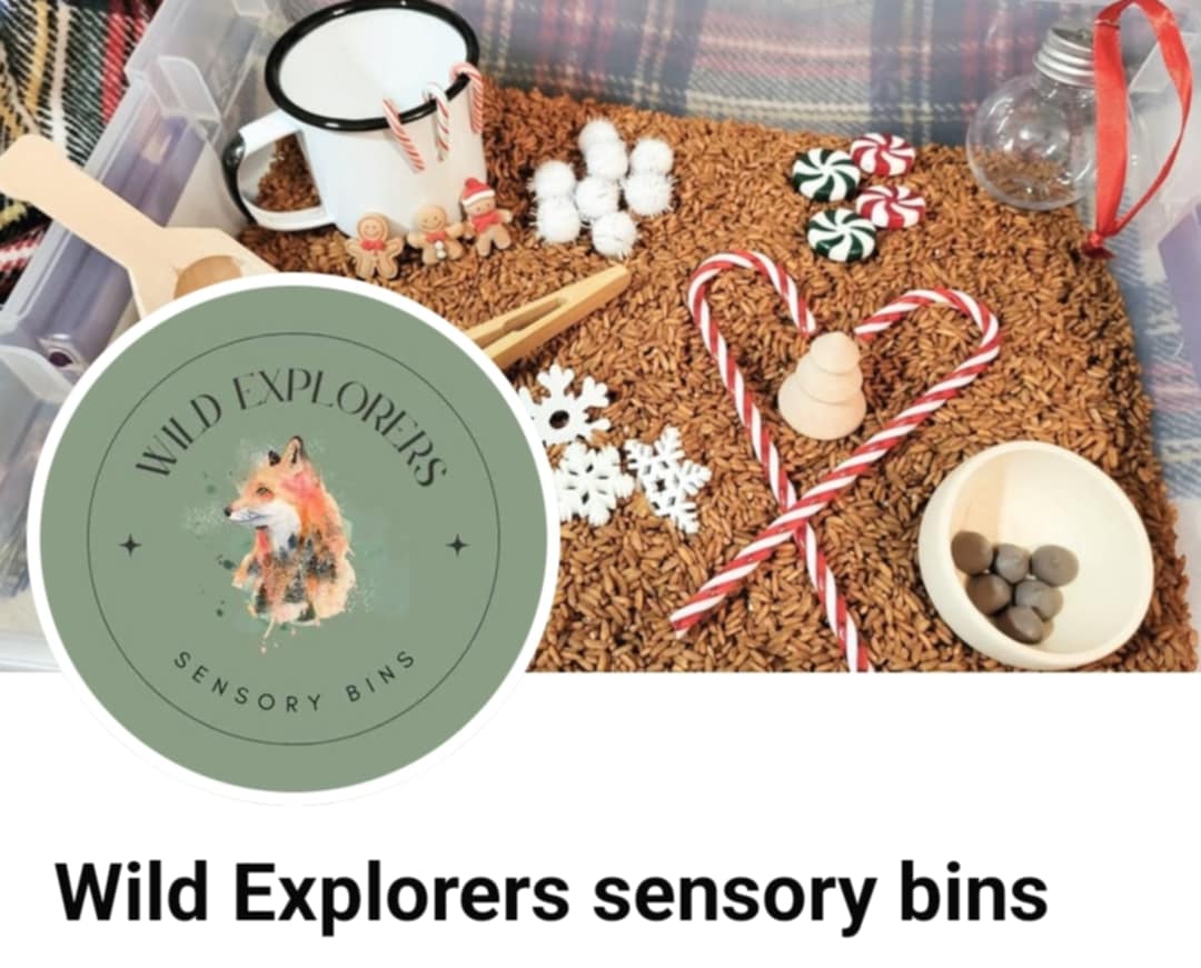 Wild Explorers Co – Caffeinated Crunchy Christian Moms